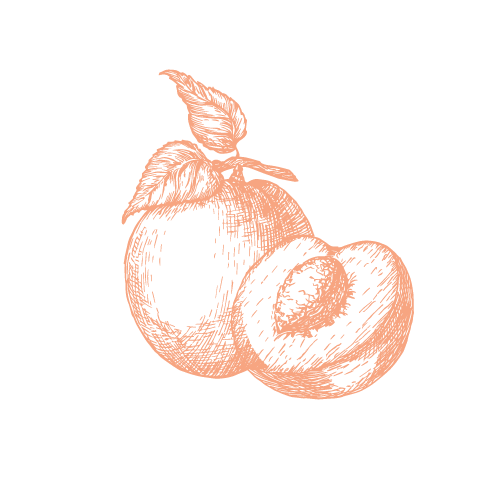 Nectarine Trees — Raintree Nursery