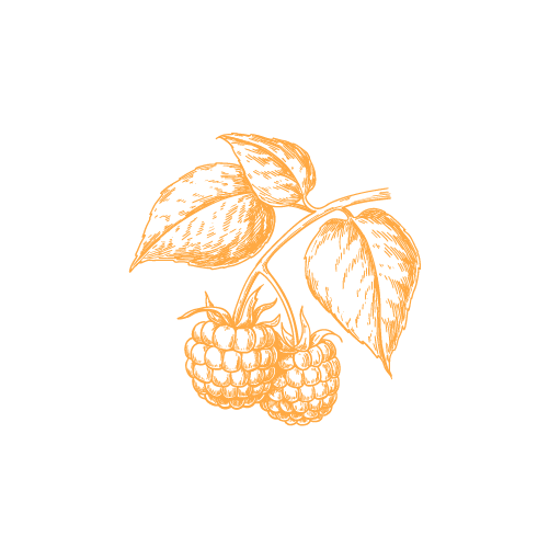 Native Berry Bushes of the PNW | Raintree Nursery