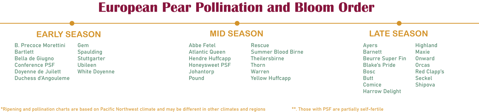 Growing European Pears