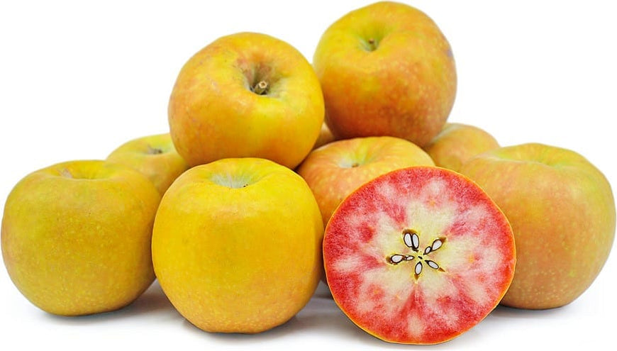 Apple Trees for Sale | Buy Apple Trees - Raintree Nursery