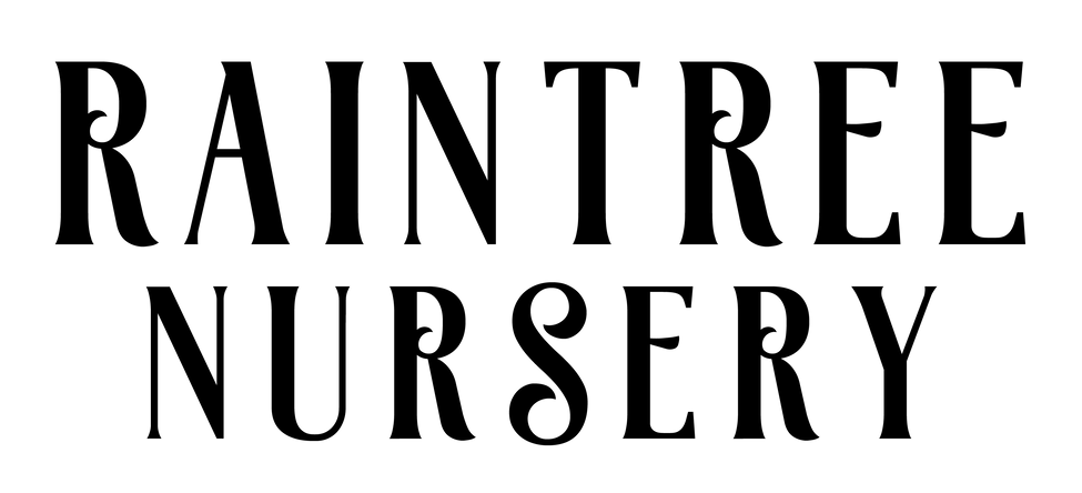 Pixie Cot Apricot — Raintree Nursery