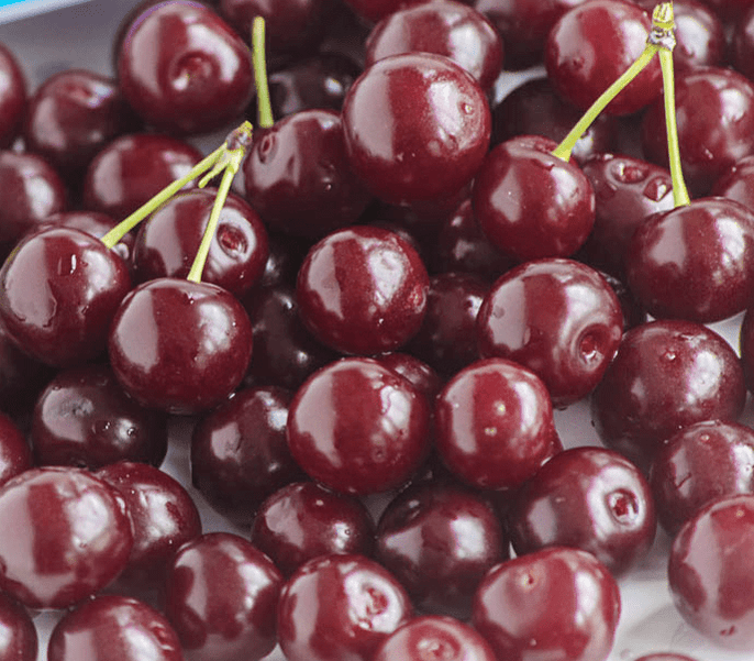 Dwarf Cherry Trees | Highest Quality Plants | Raintree Nursery