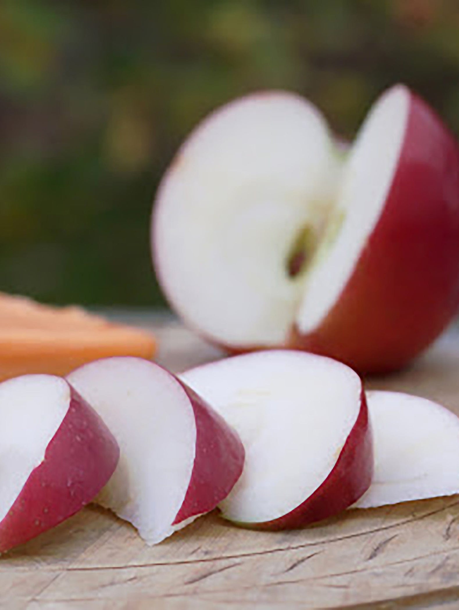 Snowsweet Apple — Raintree Nursery