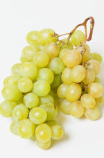 Himrod Seedless grape — Raintree Nursery