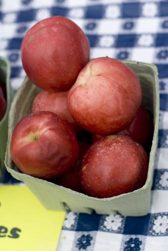 Raspberry Red Nectarine — Raintree Nursery