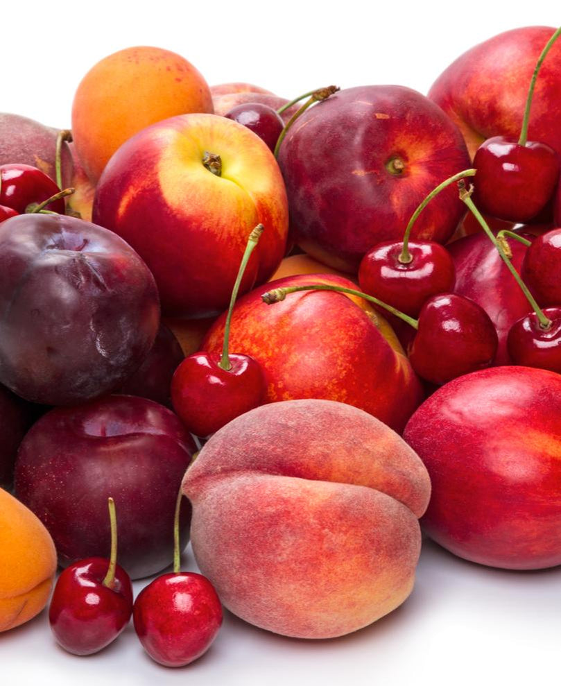 Fruit Cocktail Trees for Your Garden | Raintree Nursery