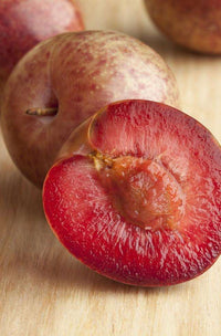 Combo Zee Sweet Pluot Tree (4 varieties) — Raintree Nursery