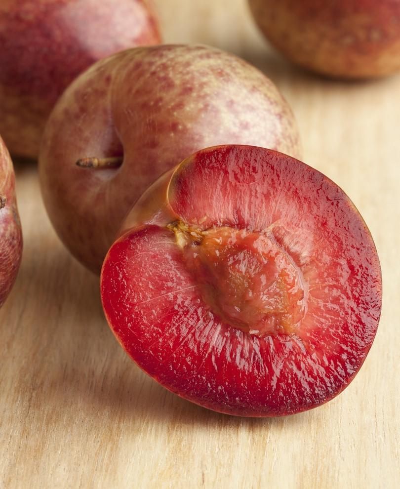 3x1 Zee Sweet Pluot - Semi-dwarf (Geo Pride/F. Grenade/E. Drop/Splash ...